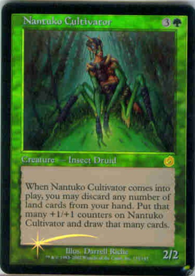 MTG NANTUKO CULTIVATOR (FOIL) | | rainbowcomicsandcards.com